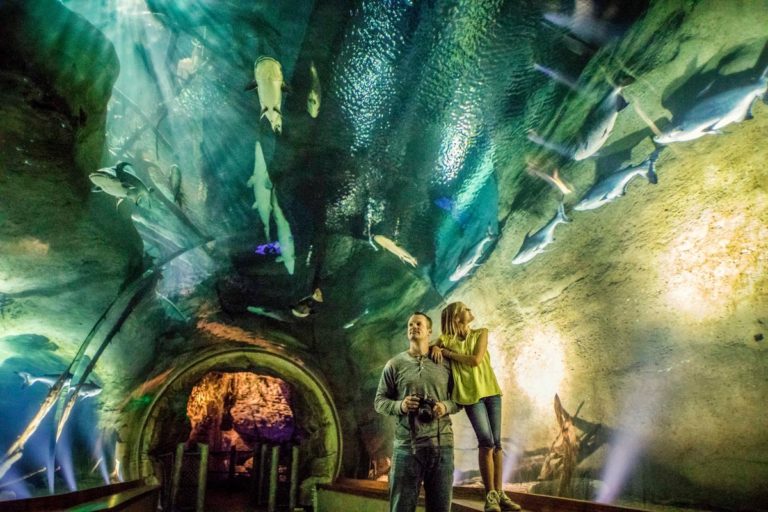 Nearby Attractions | Bass Pro Shops Angler's Lodge | Springfield, MO