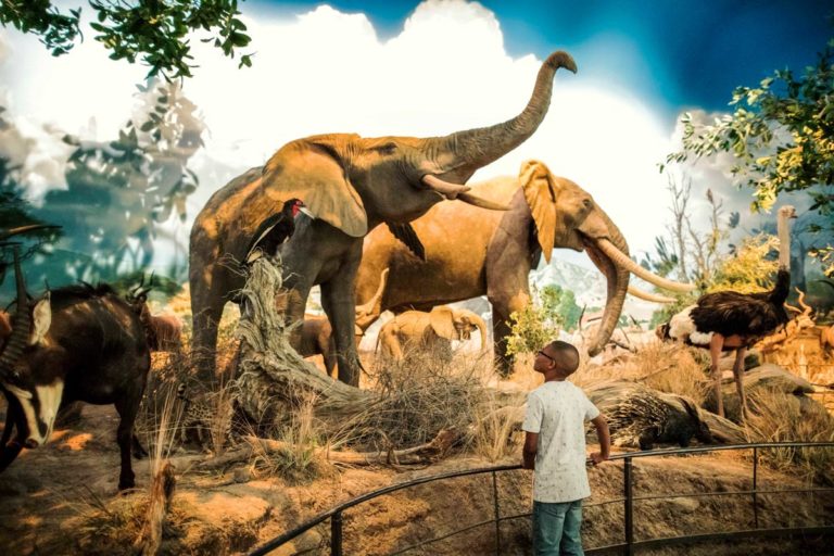 Nearby Attractions | Bass Pro Shops Angler's Lodge | Springfield, MO